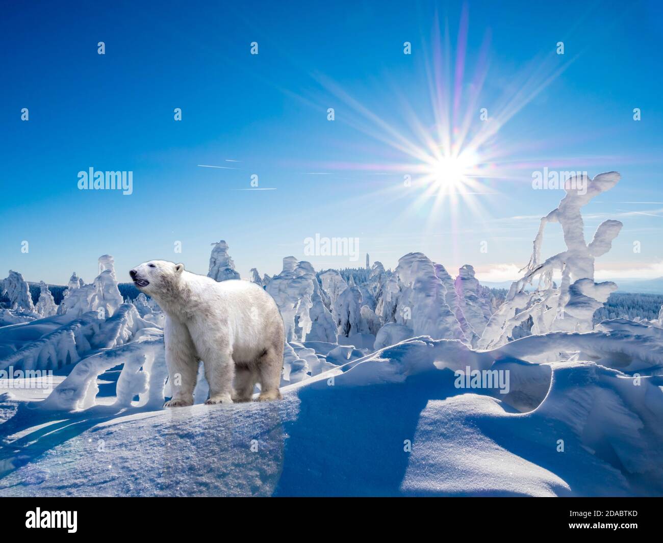 Climate polar ice caps hi-res stock photography and images - Alamy