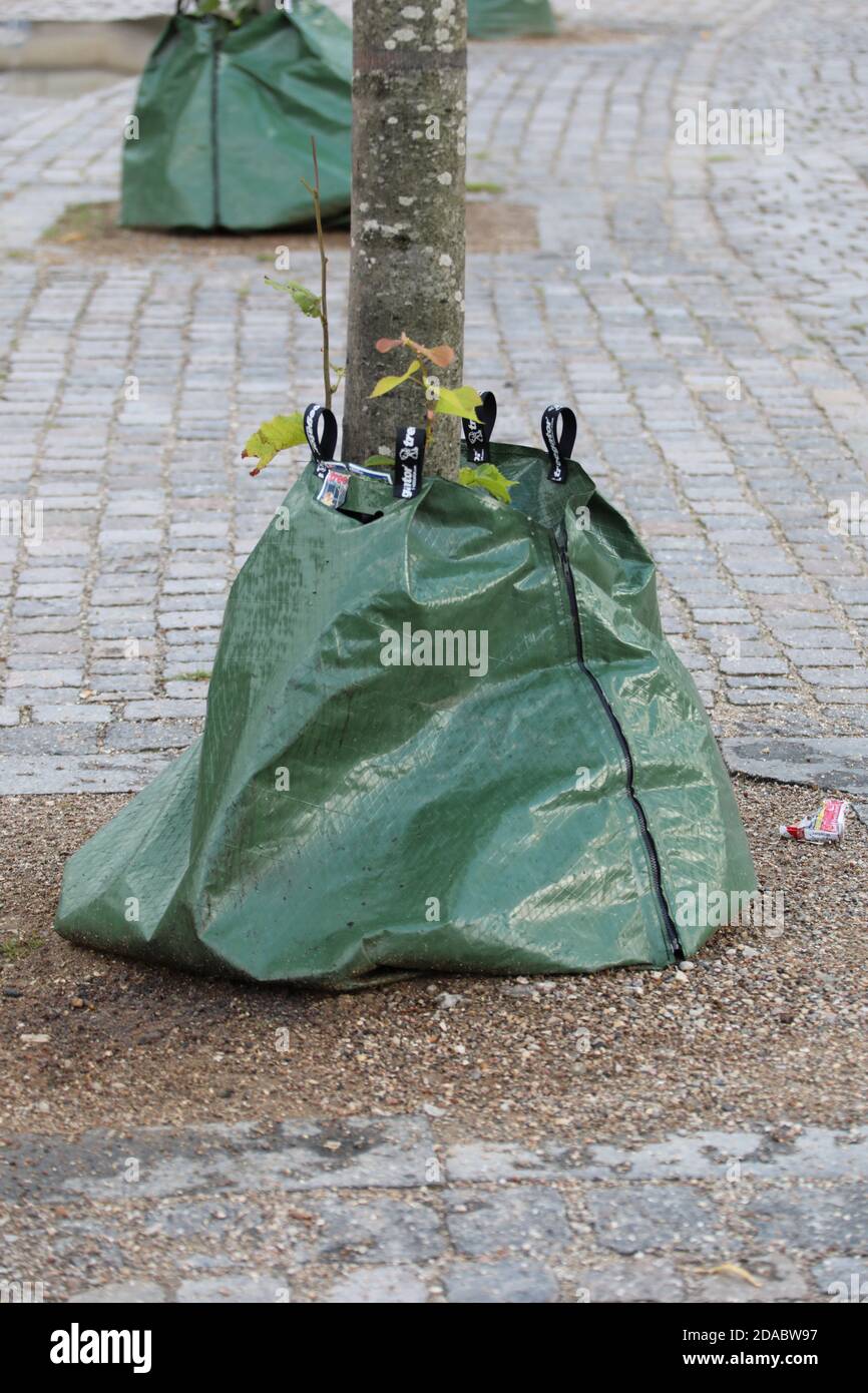 Treegator bags in Denmark Stock Photo - Alamy