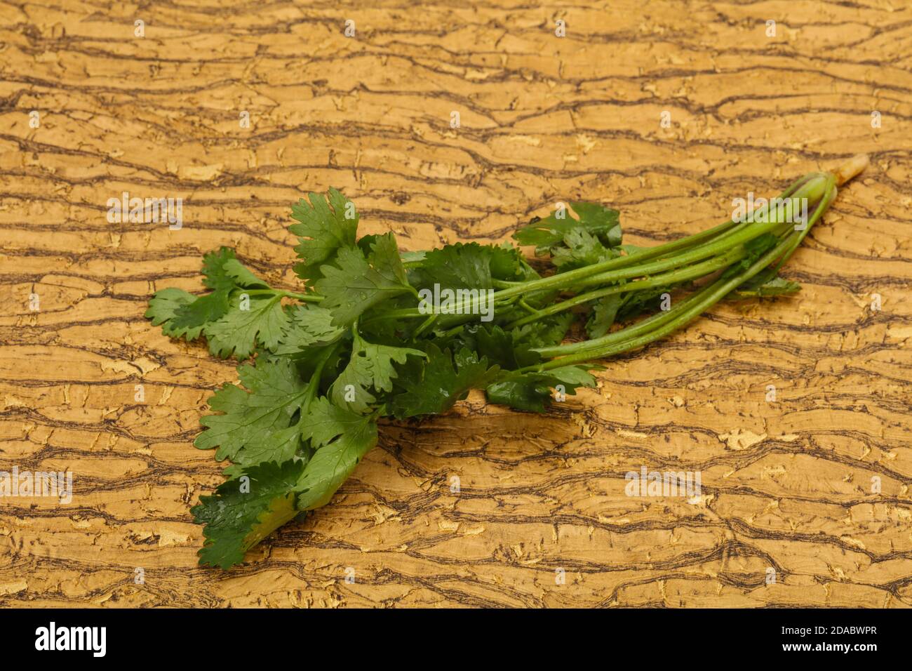 Fresh ripe Green cilantro leaves spice Stock Photo - Alamy