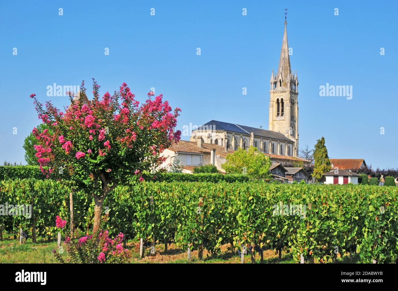 Pomerol the famous wine village in the middle of vineyards, Gironde ...