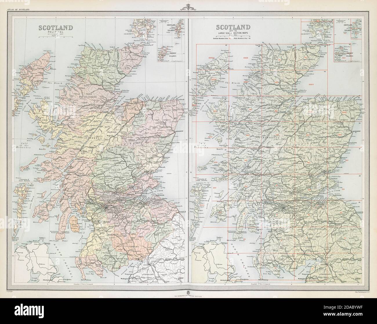 Scottish Large World Political Wall Map
