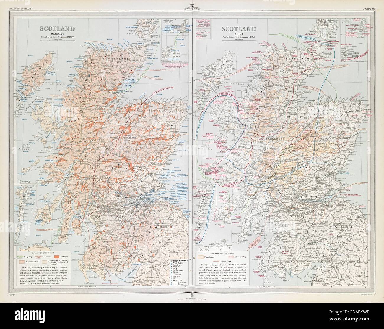Map of eagle hi-res stock photography and images - Alamy