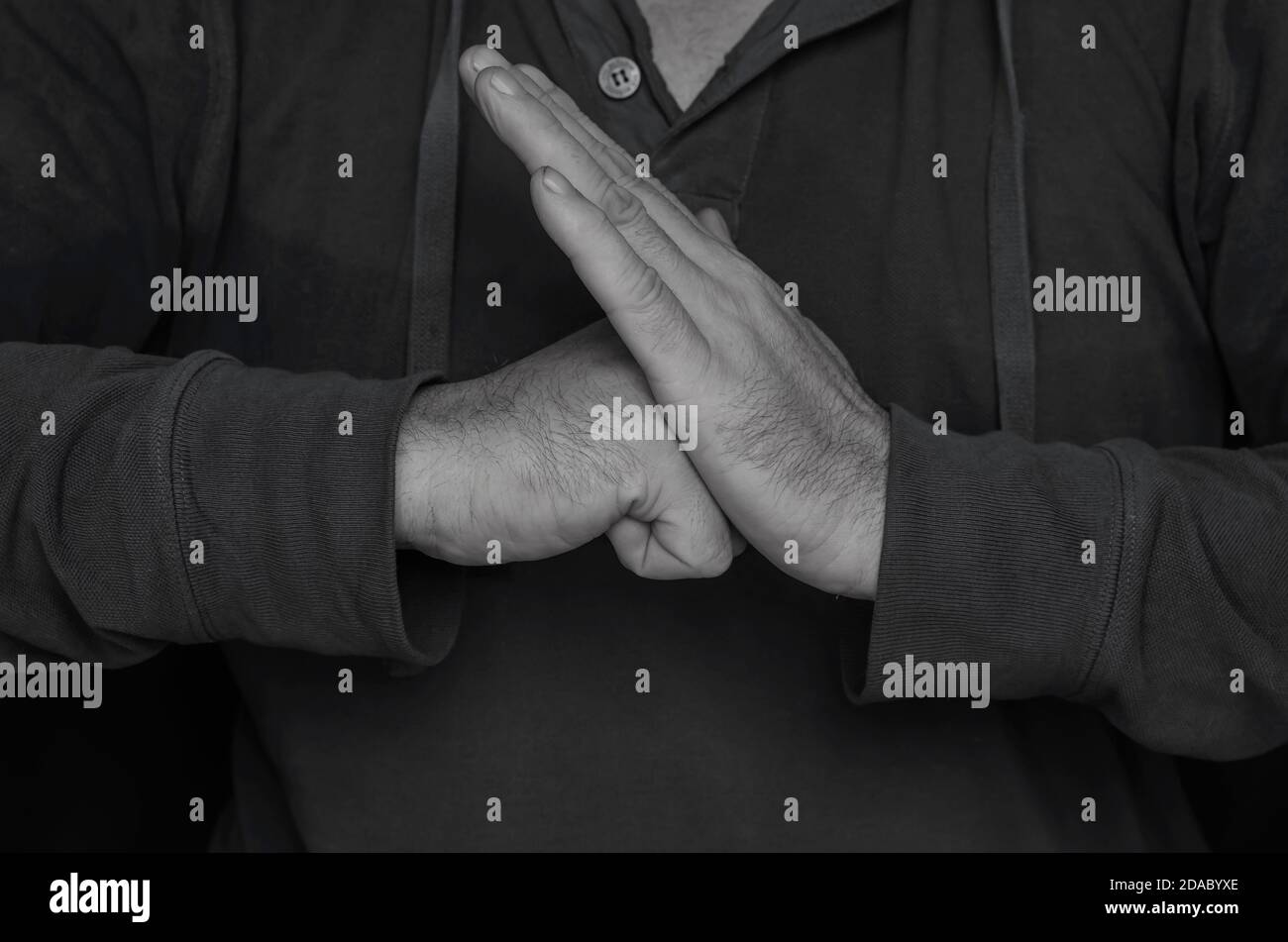 Kung Fu Hand Salutation with fist and palm. Adult man depicts ritual of ...