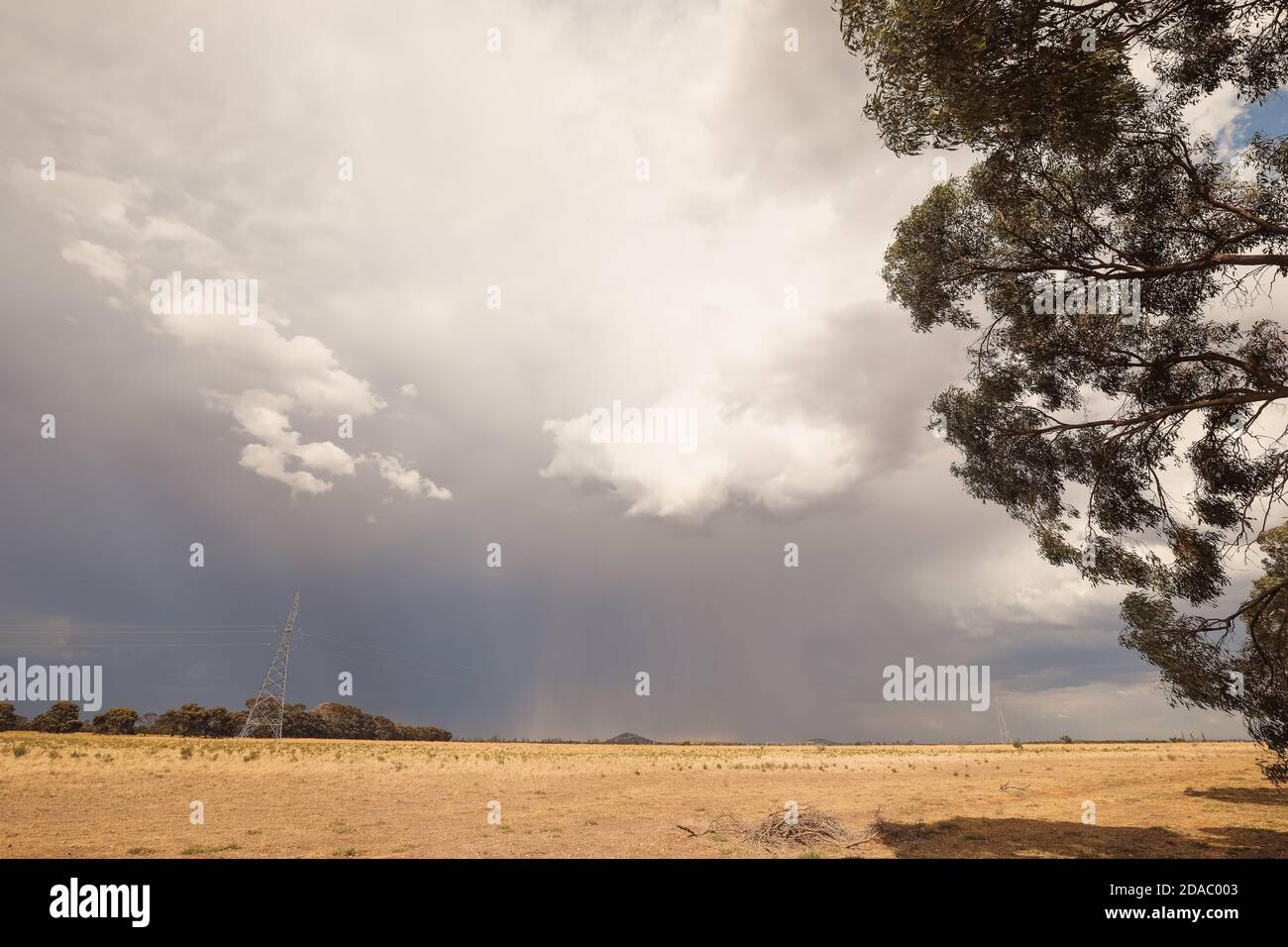 Beautiful view of a landscape with a lot of trees under a cloudy sky ...