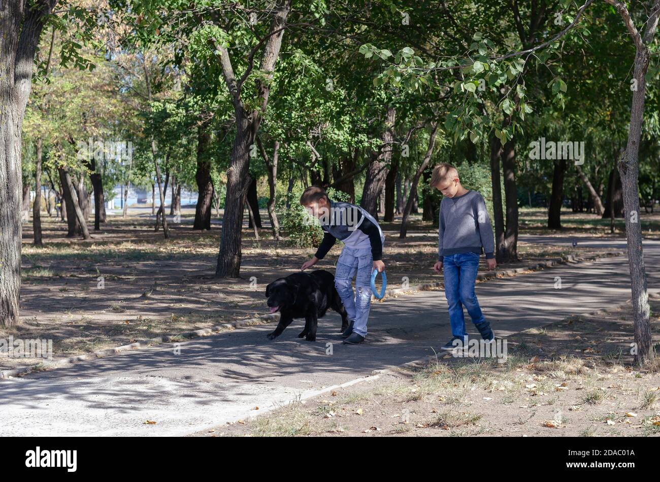 Happy children walk leisurely through the park with black Labrador ...