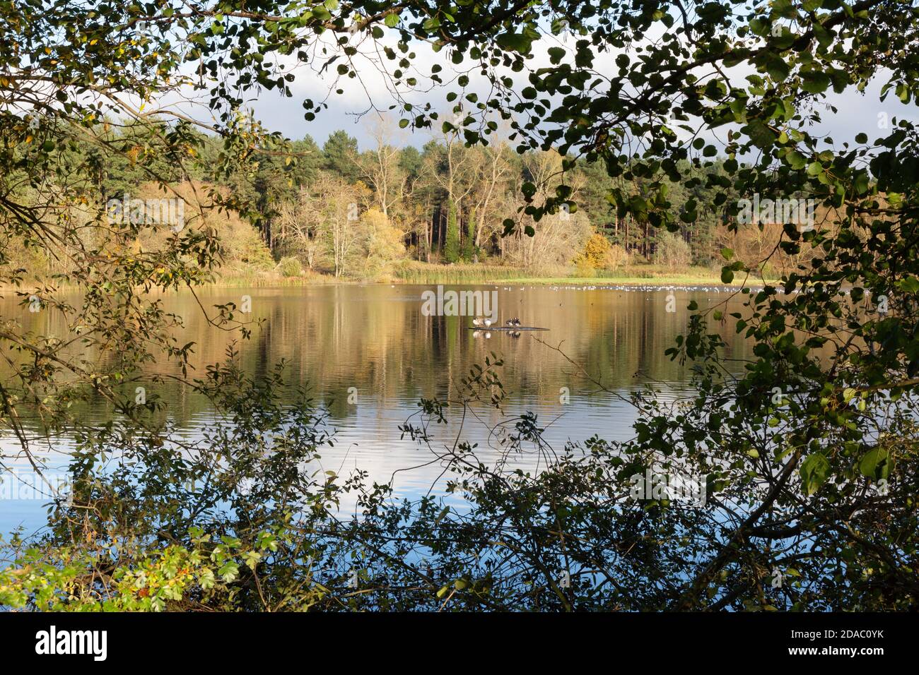 English lakes landscapes hi-res stock photography and images - Alamy