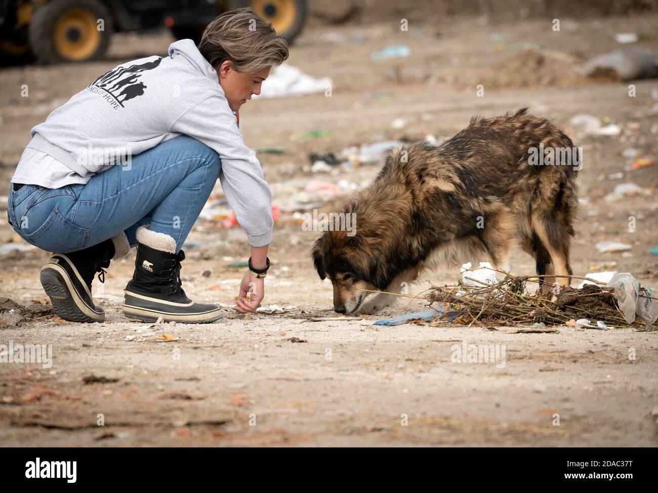 Bulgaria Elhovo November 2020: Veteran serviceman Cpl Tom Seaton-Norton ...