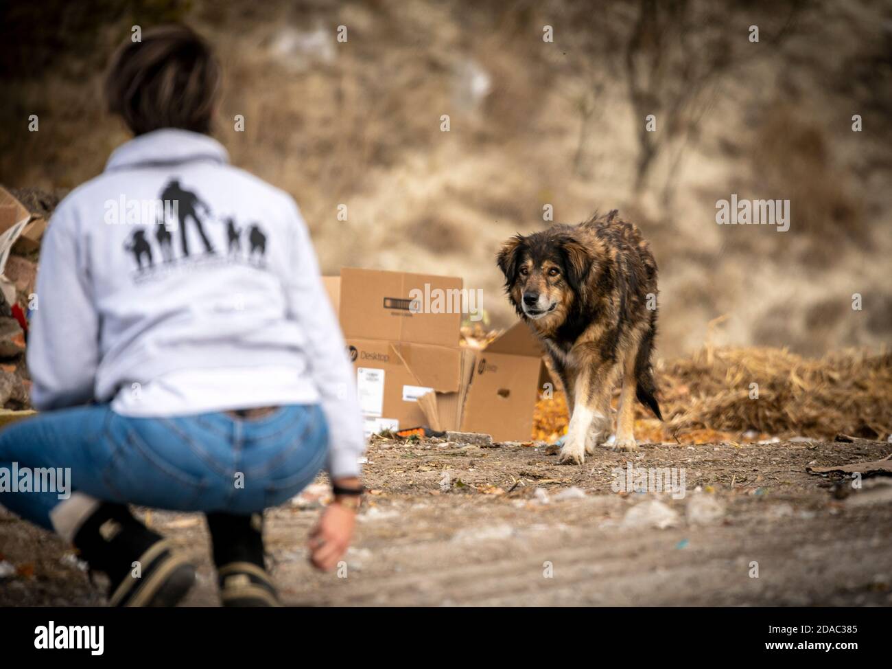 Bulgaria Elhovo November 2020: Veteran serviceman Cpl Tom Seaton-Norton ...