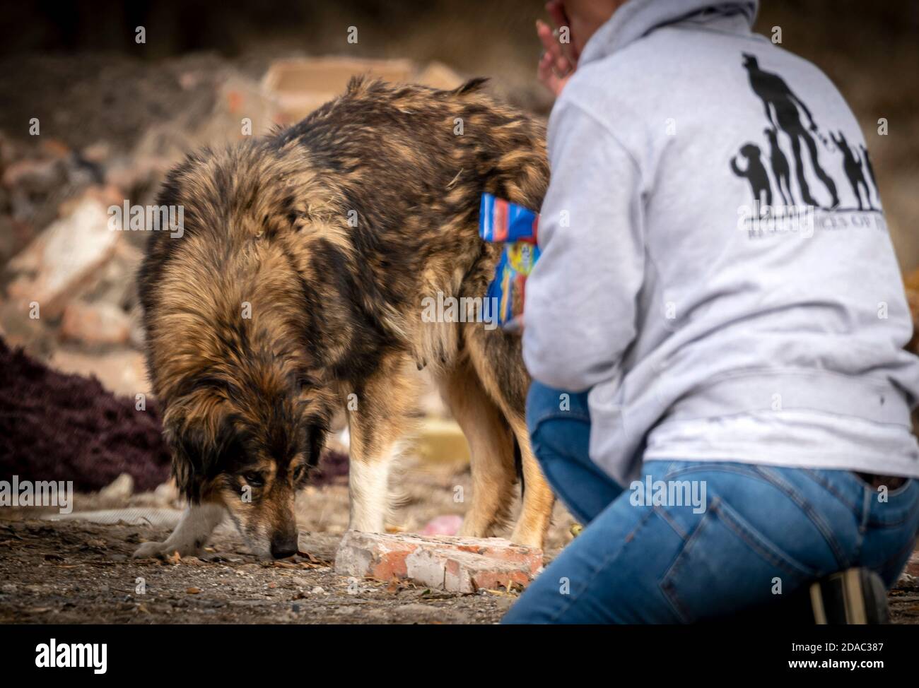Rescue faces of hope sanctuary hi-res stock photography and images - Alamy