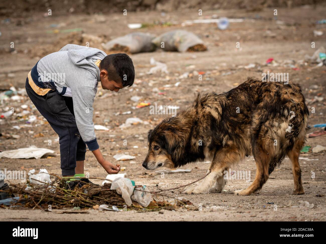 Bulgaria Elhovo November 2020: Veteran serviceman Cpl Tom Seaton-Norton ...