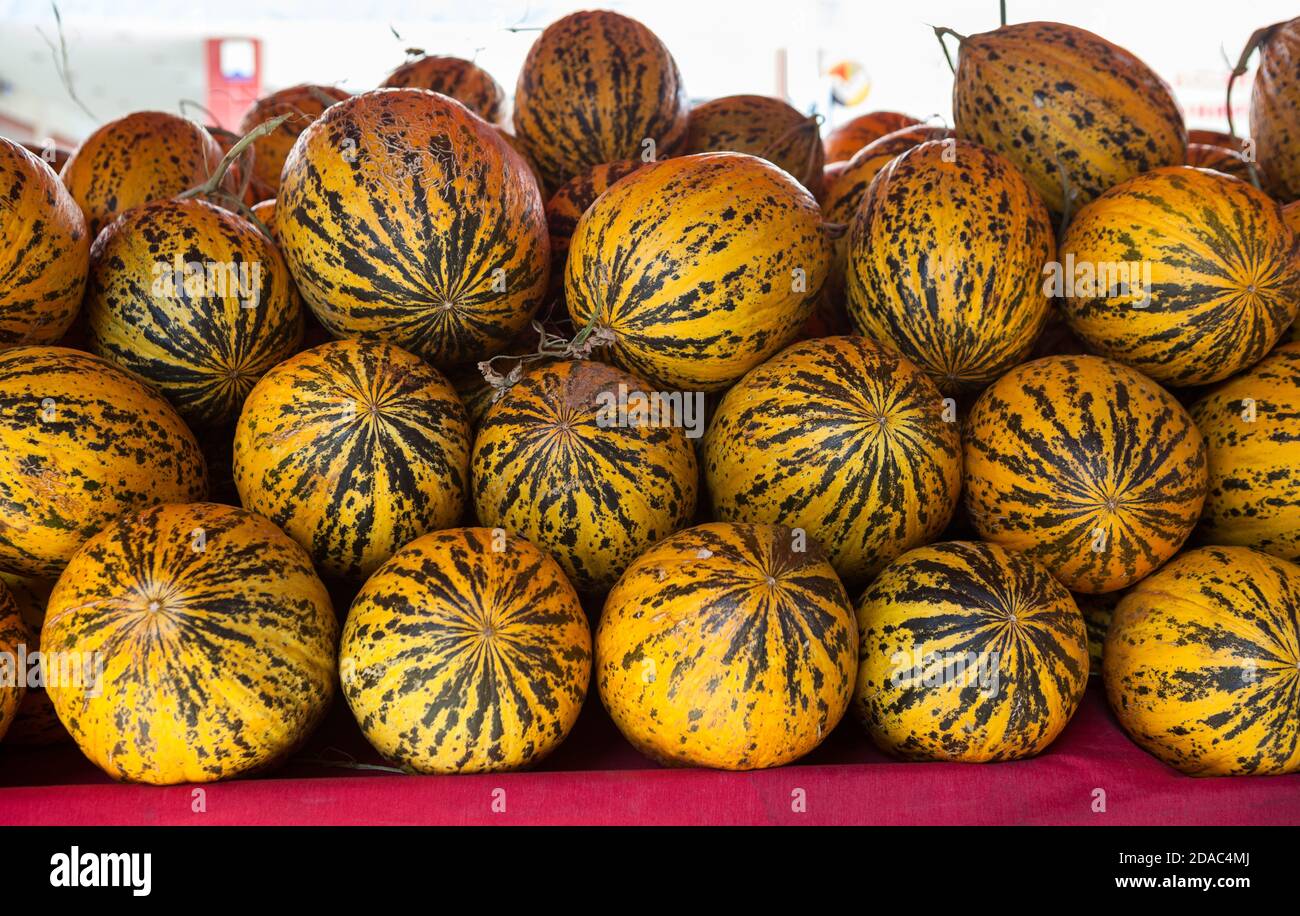 Yellow watermelons are at fruit stand in market Stock Photo - Alamy