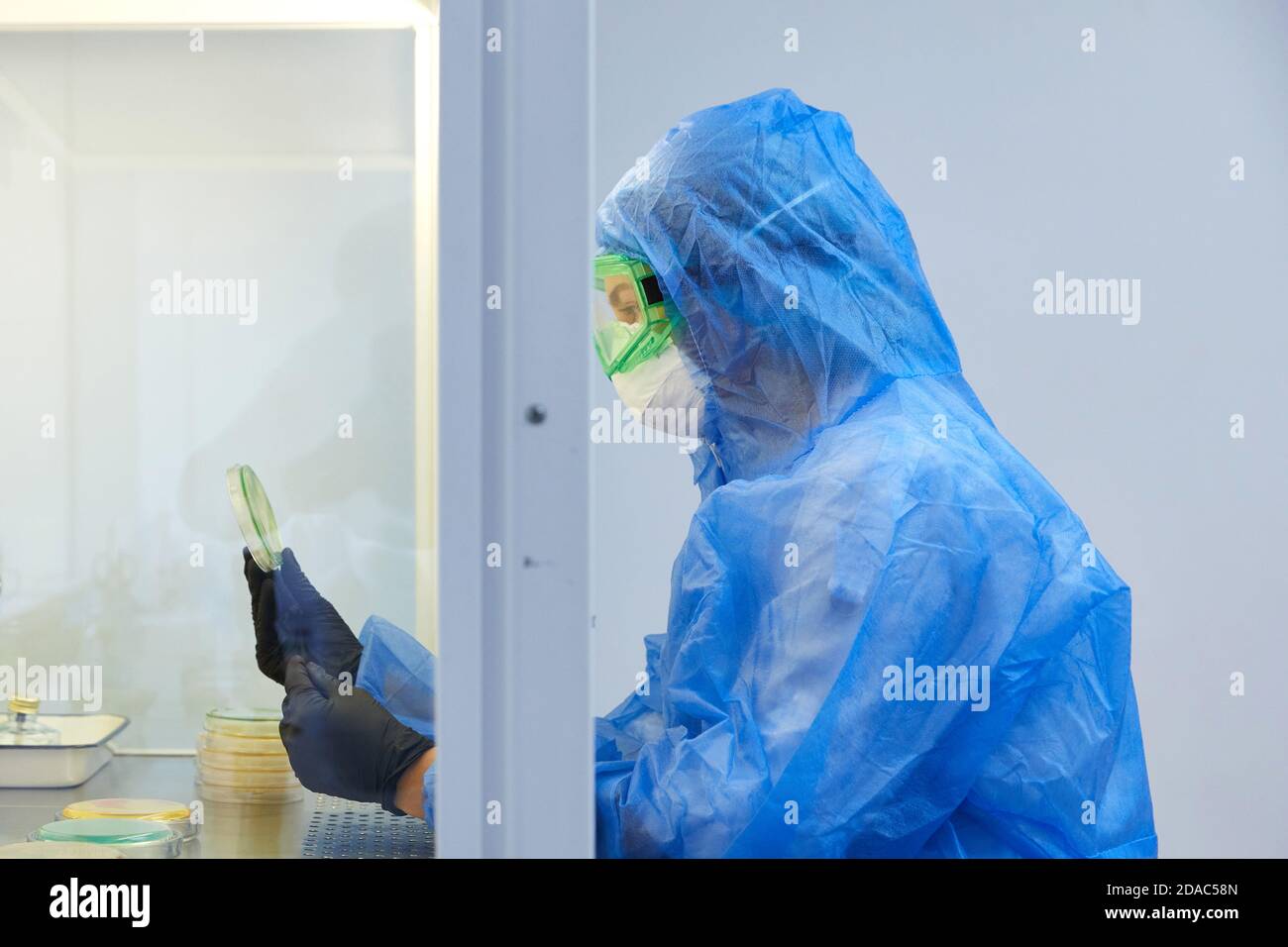 female science researcher in protective uniform and equipment works ...