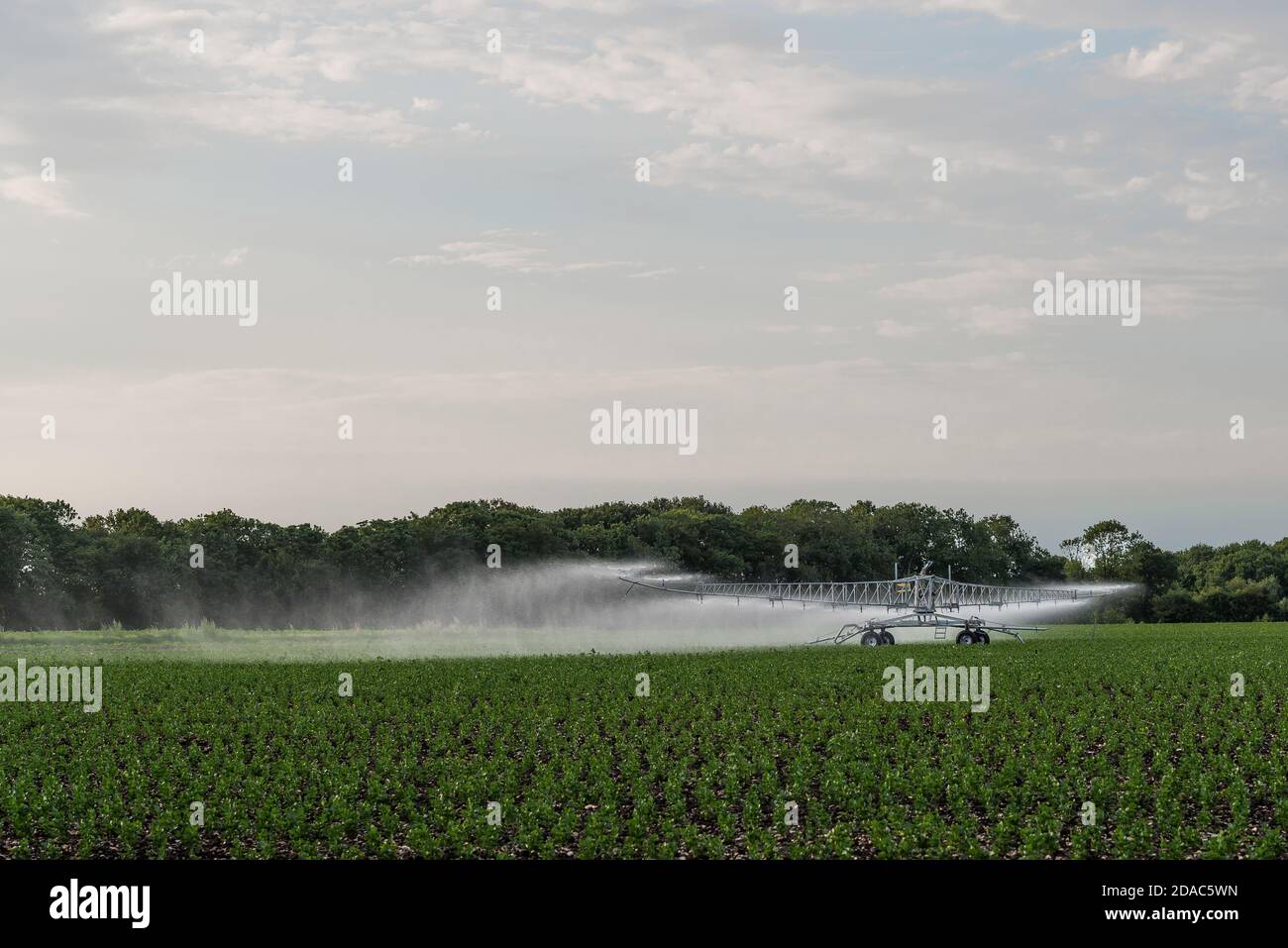 Farm watering system hi-res stock photography and images - Alamy