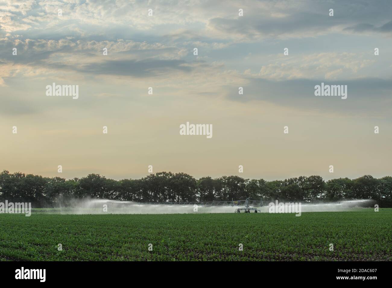 Crop watering sprinkler system hi-res stock photography and images - Alamy