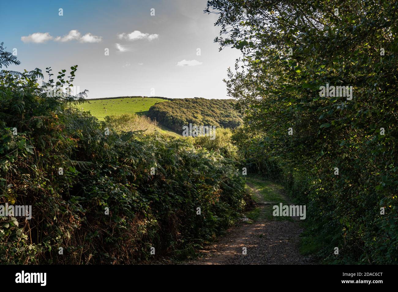 Beautiful landscape view rural hi-res stock photography and images - Alamy