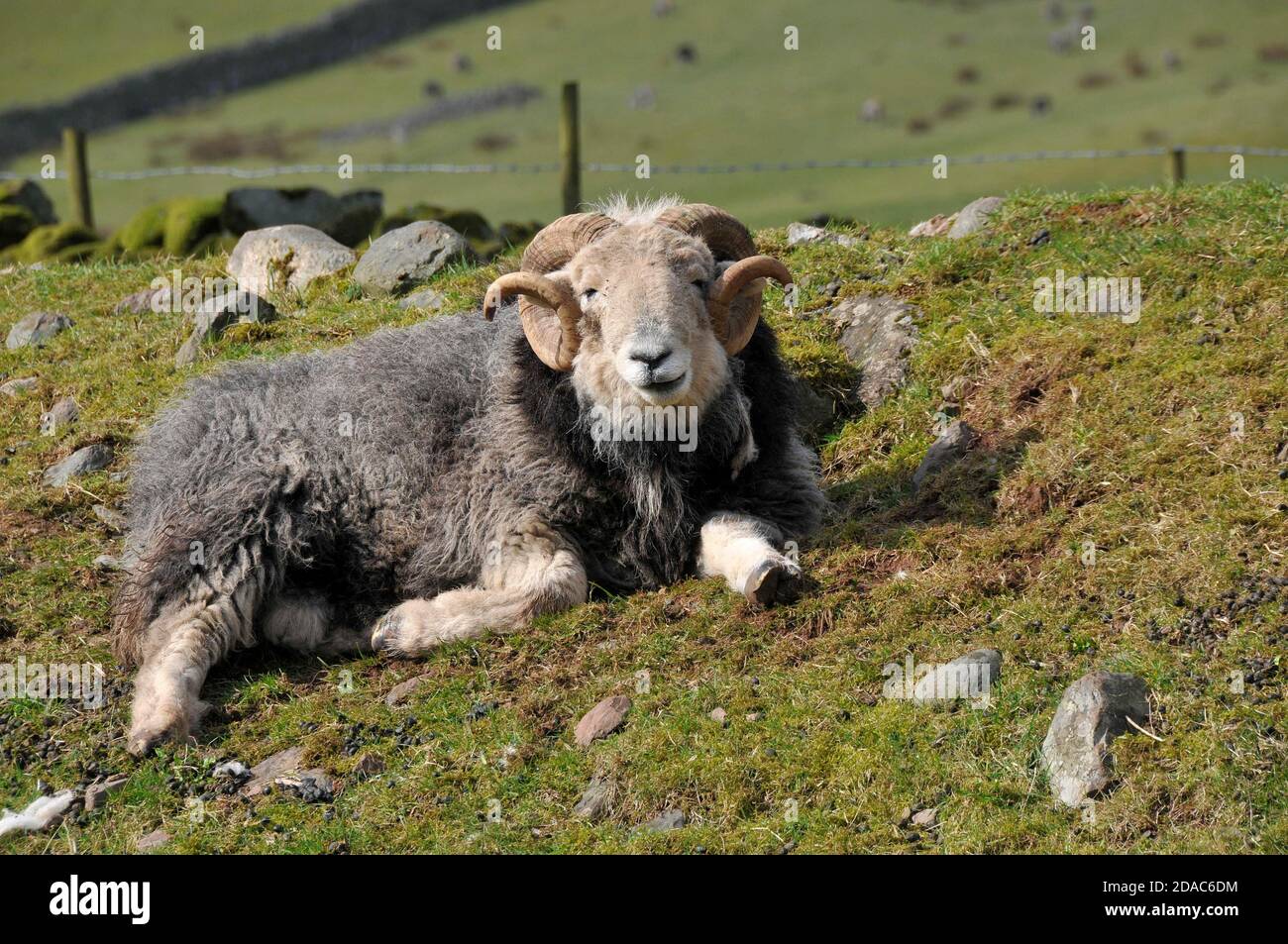 Lakeland fells hi-res stock photography and images - Alamy