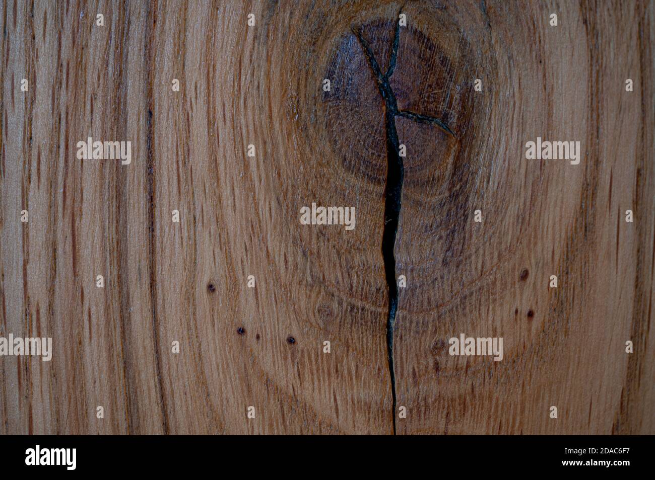 knotted oak timber Stock Photo - Alamy