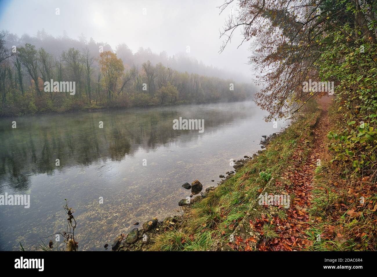 Riverside forest hi-res stock photography and images - Alamy
