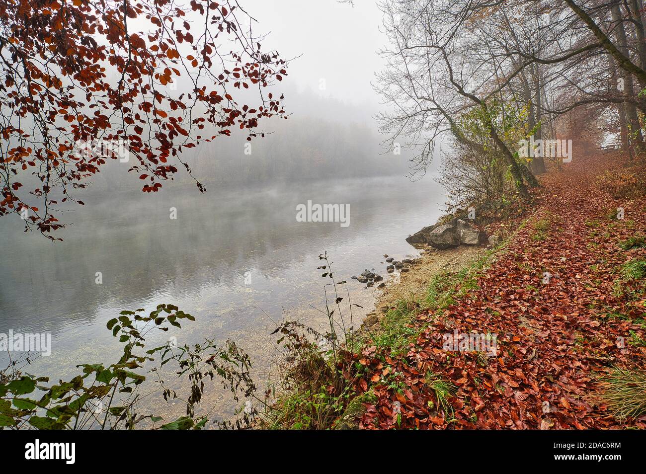 Riverside forest hi-res stock photography and images - Alamy