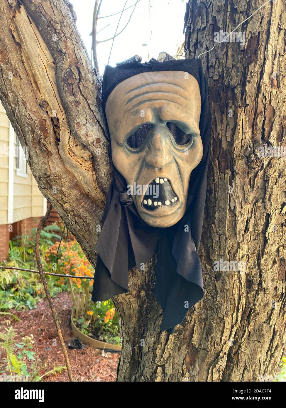 Scary goblin face on the street in a residential neighborhood in ...