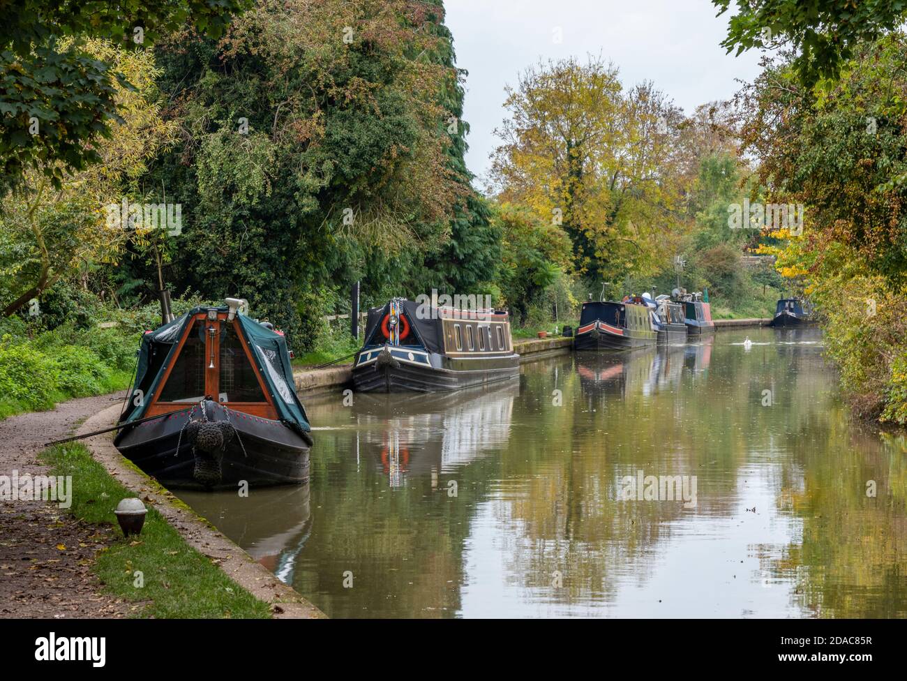 traditional narrow boats moored along the towpath of the grand union ...