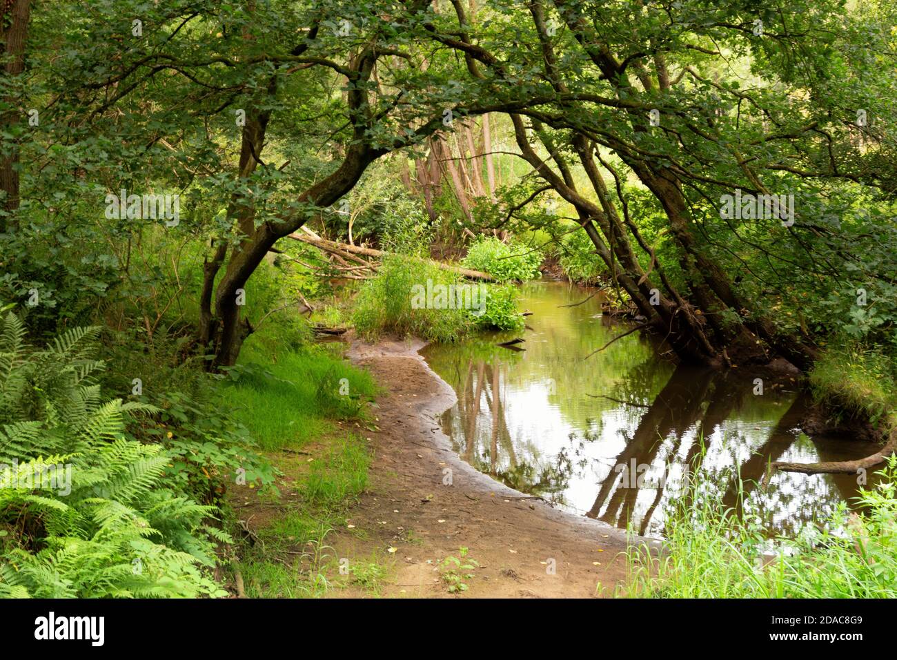 Brook scenery hi-res stock photography and images - Alamy
