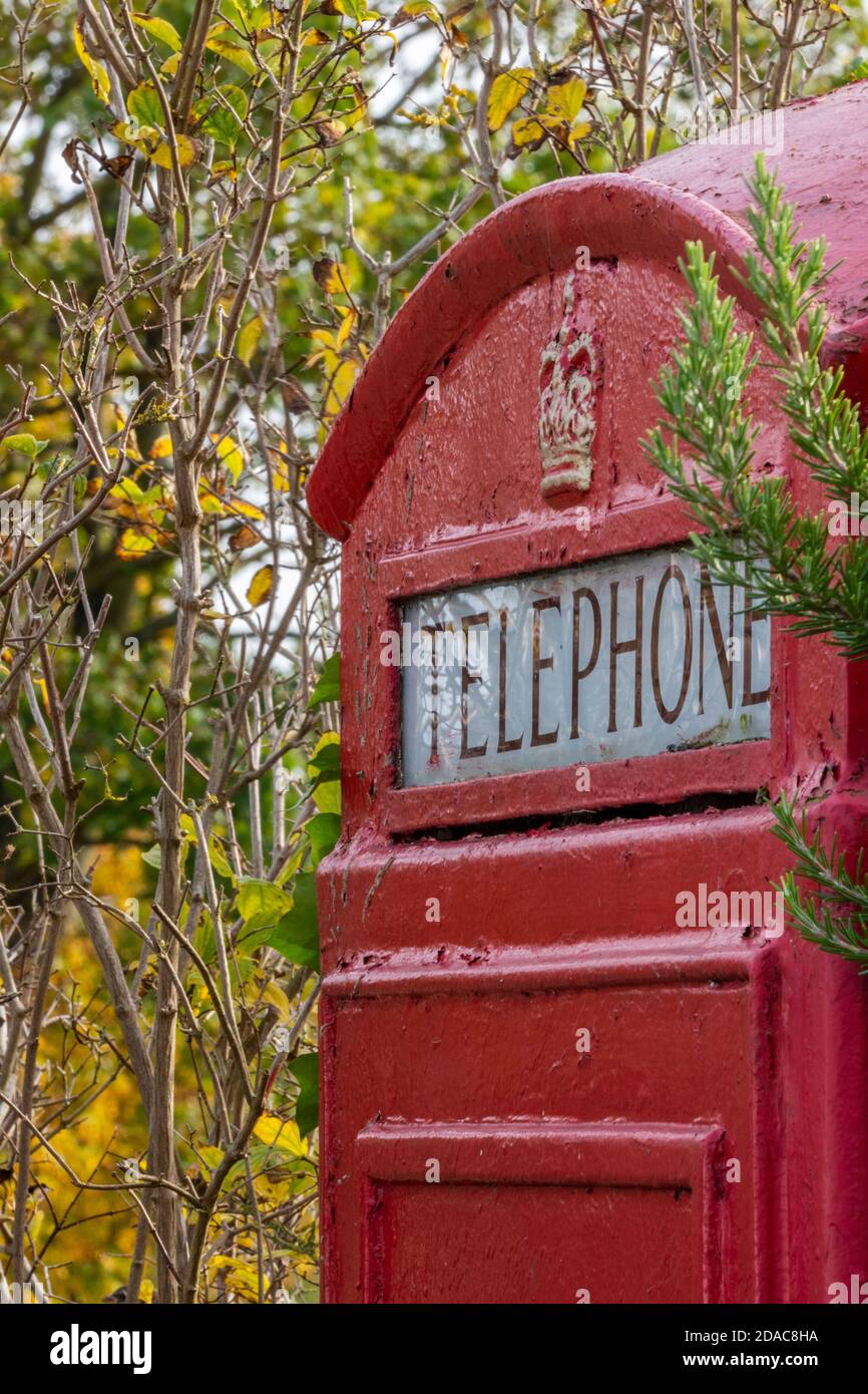 a traditional british red telephone box next to some autumn trees Stock ...