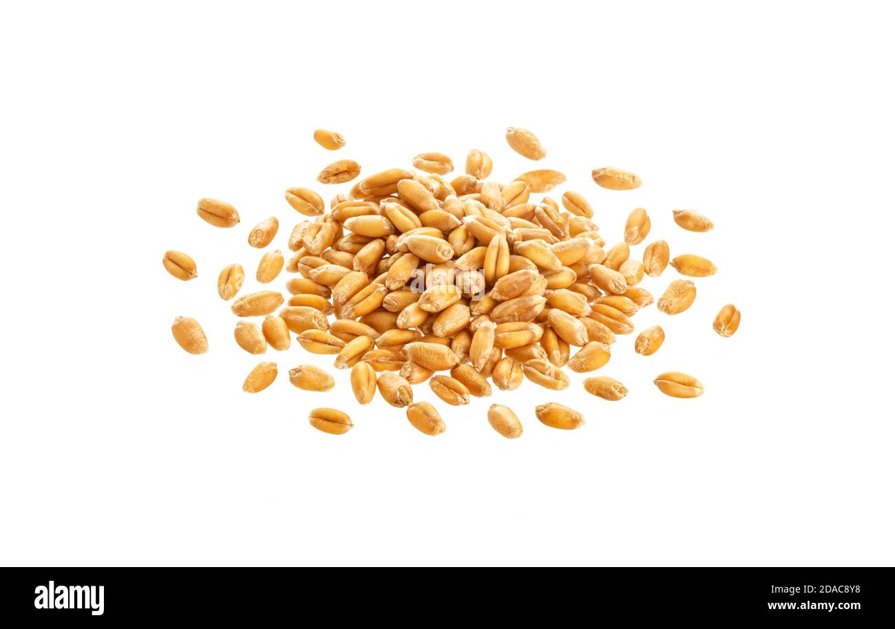 Wheat seeds isolated on white background, top view Stock Photo - Alamy