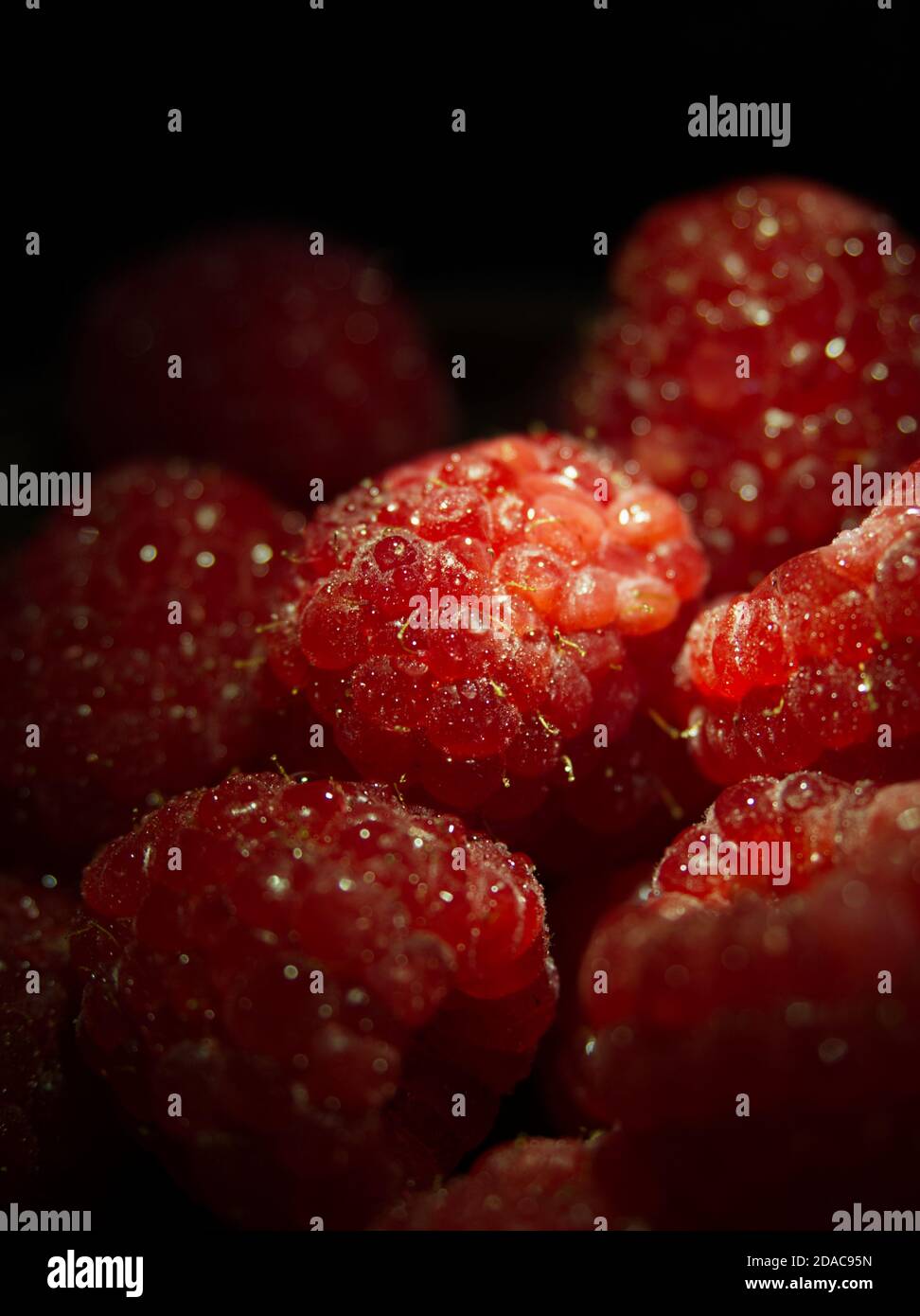 Raspberry fruits hi-res stock photography and images - Alamy