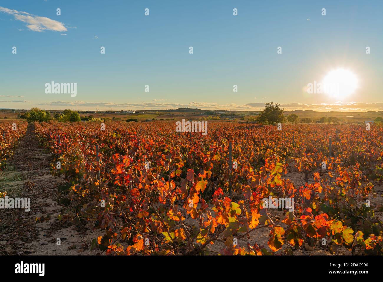 Requena spain hi-res stock photography and images - Alamy