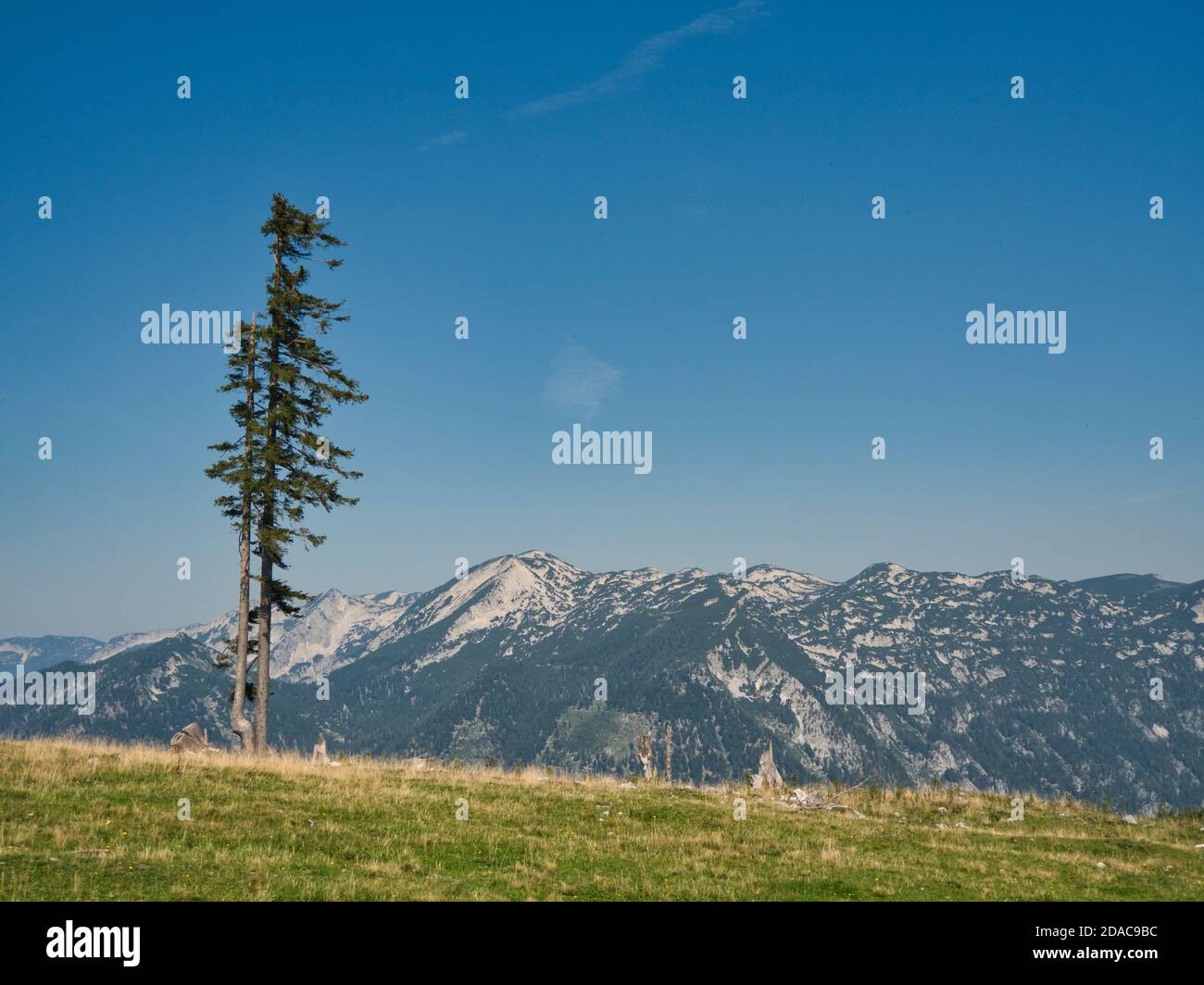 Bromberg hi-res stock photography and images - Alamy