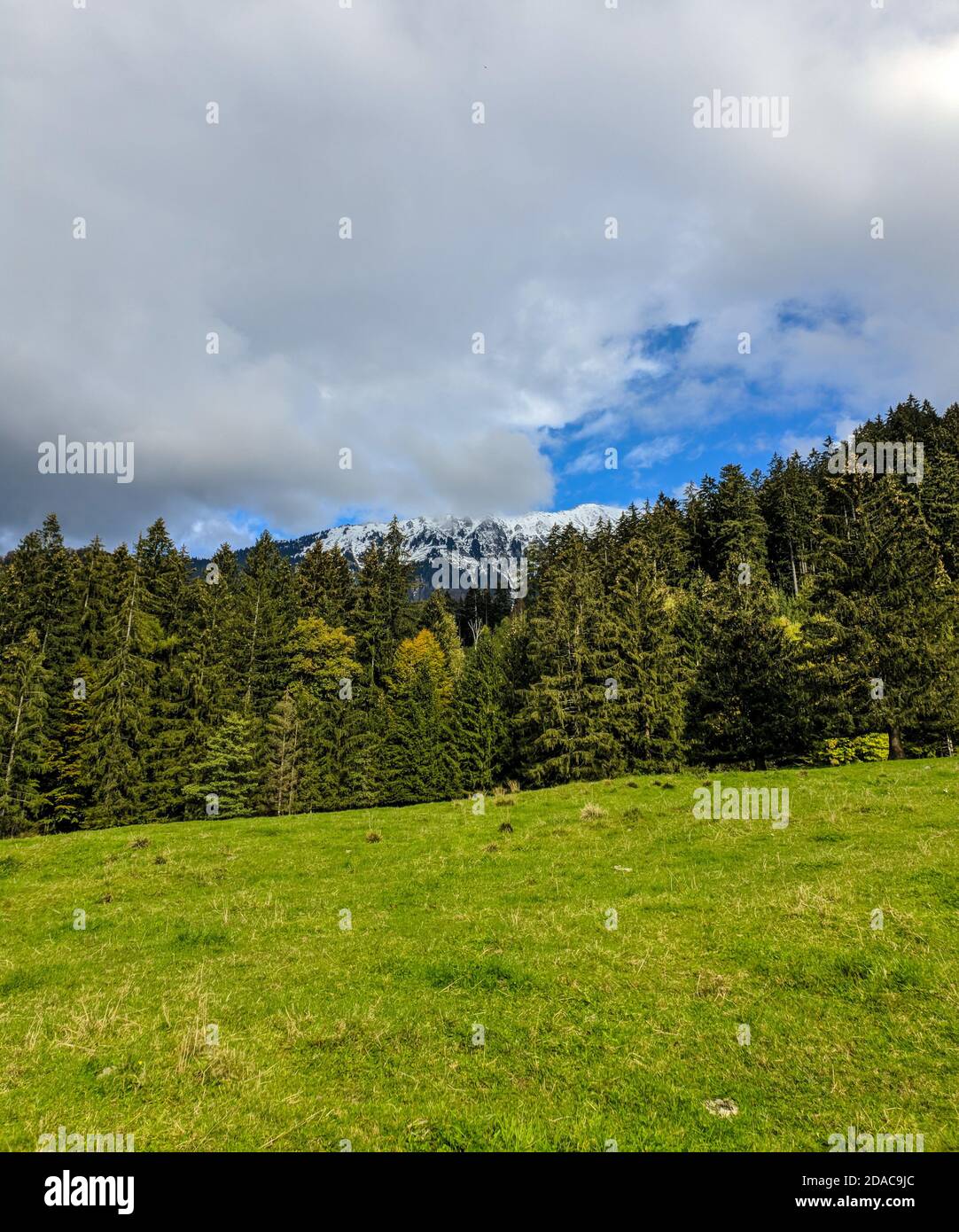 Vertical shot beautiful natural hi-res stock photography and images - Alamy