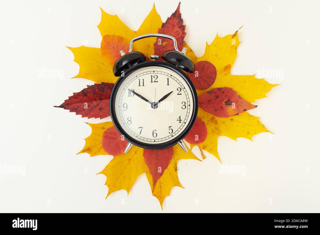 Hello autumn. autumn background with clock and leaves on white ...