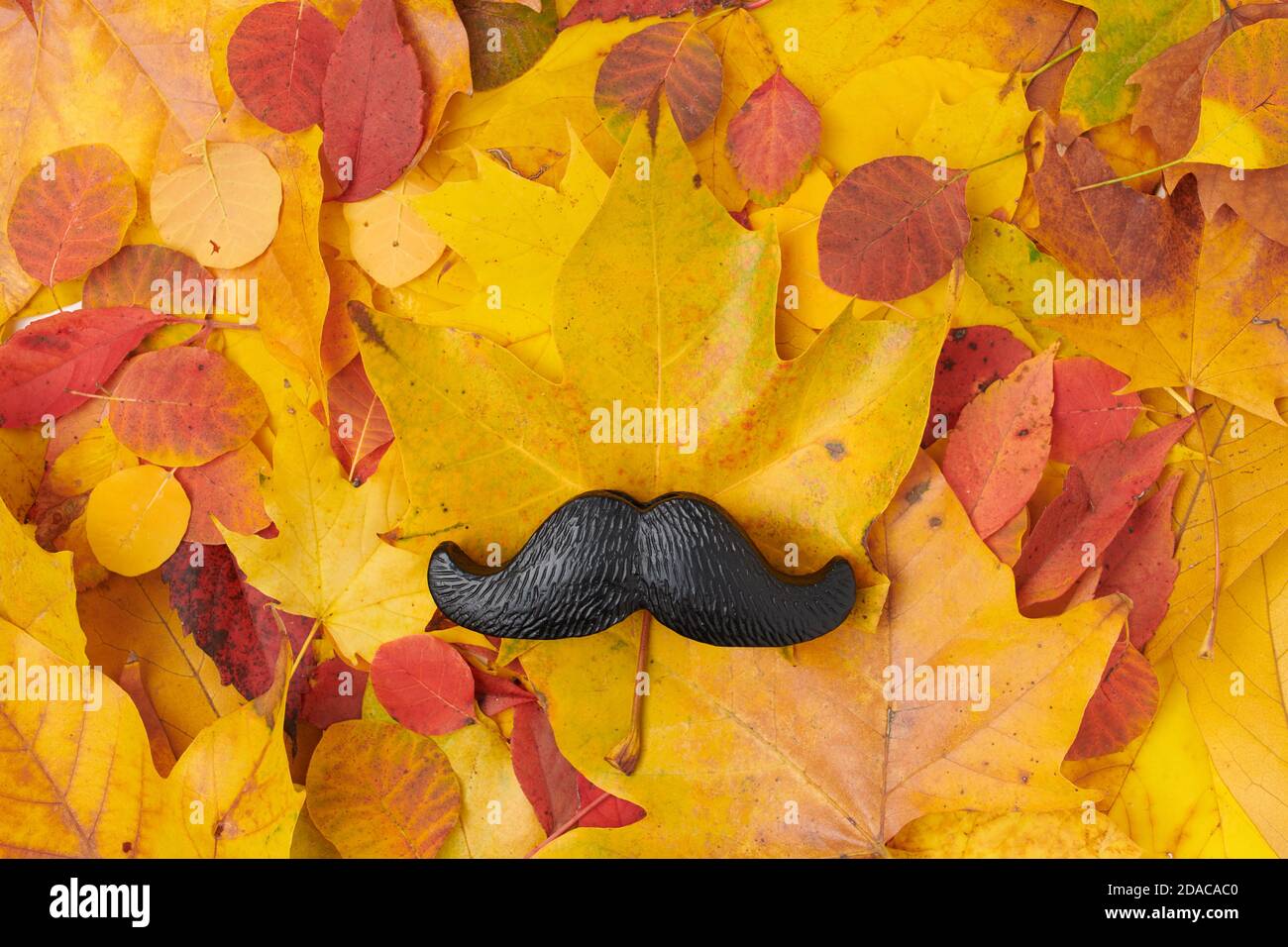 Hello dad hi-res stock photography and images - Alamy