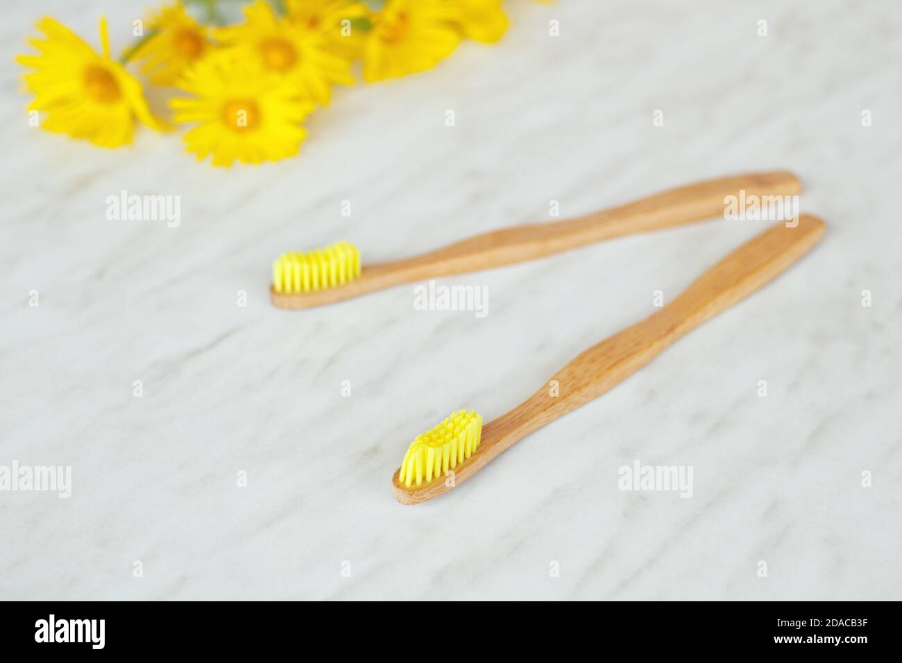 Toothbrushes Clipart Of Flowers