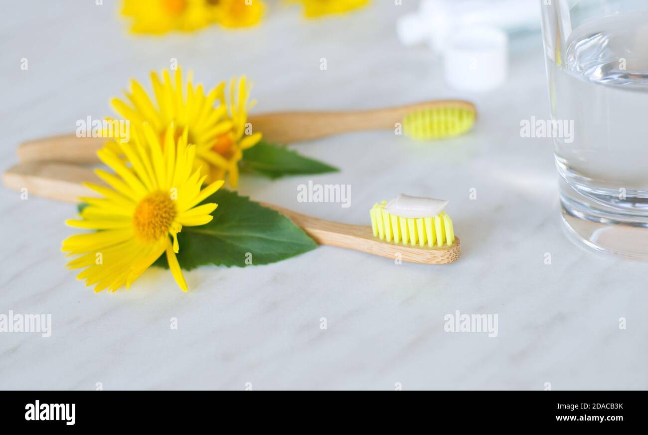 Toothbrushes Clipart Of Flowers
