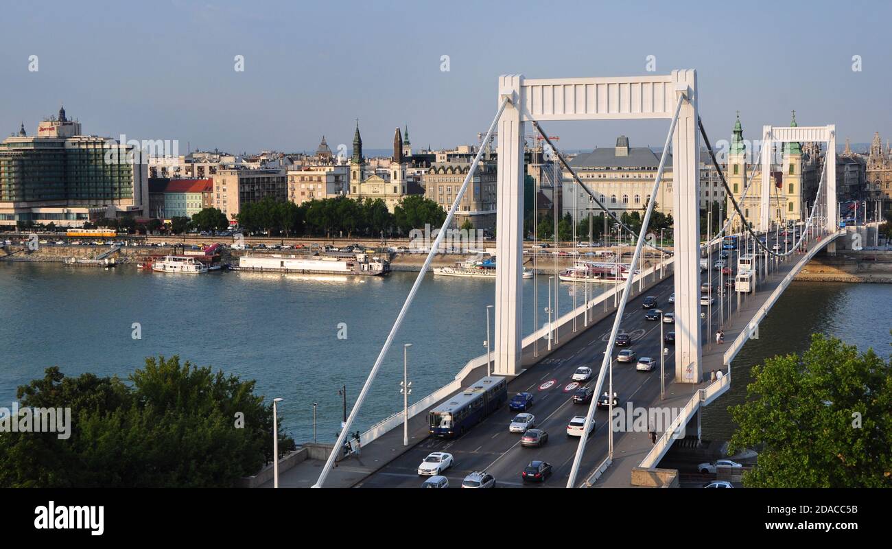 Elizabeth bridge across the Danube river connecting Budim and Pest ...
