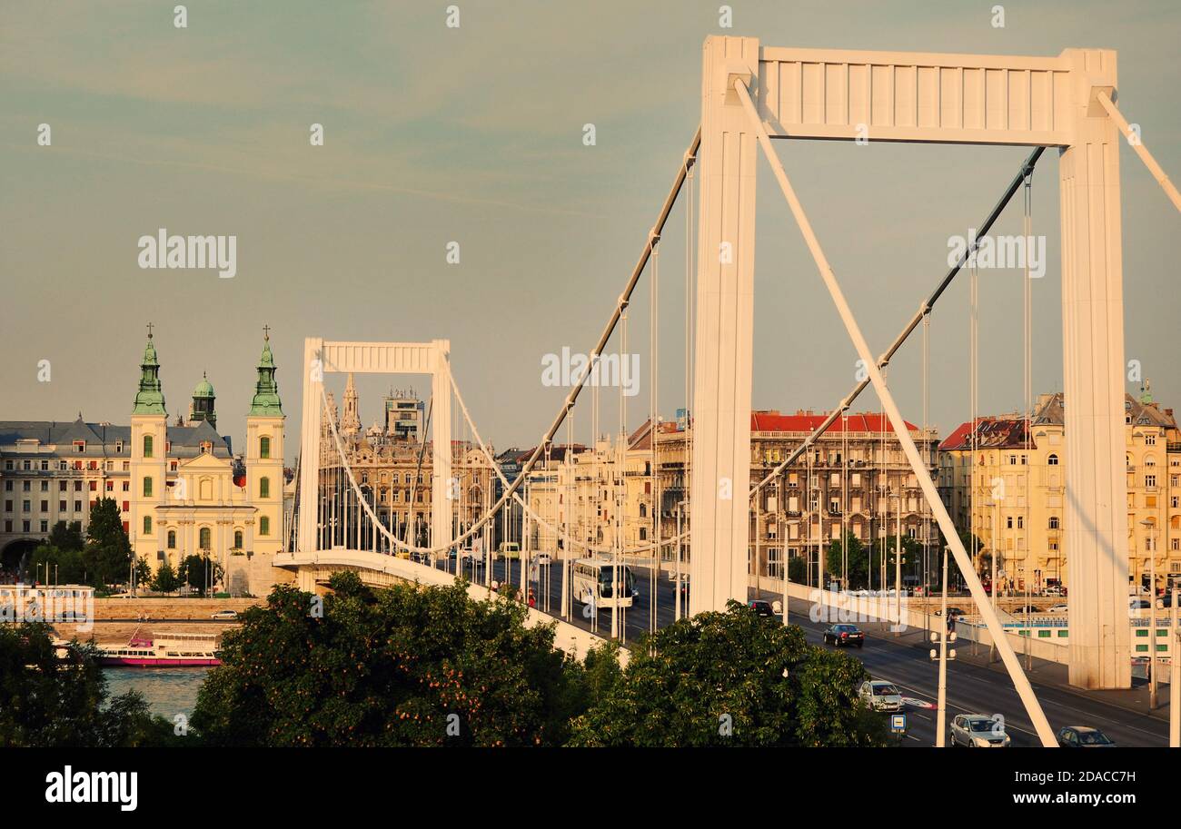 Elizabeth bridge across the Danube river connecting Budim and Pest ...