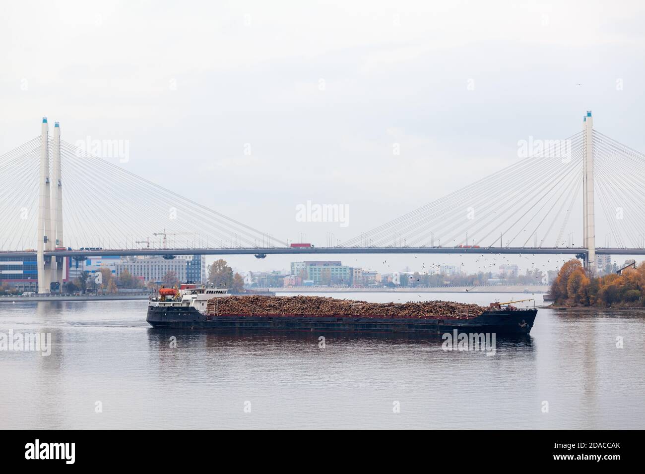Long timber transport hi-res stock photography and images - Alamy
