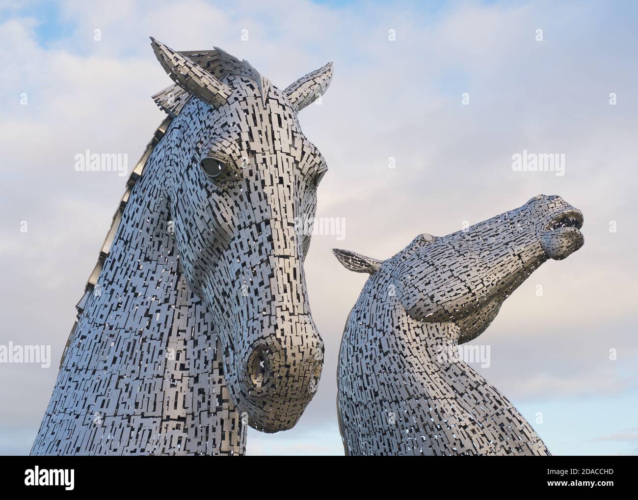 Kelpies Portrait High Resolution Stock Photography and Images - Alamy