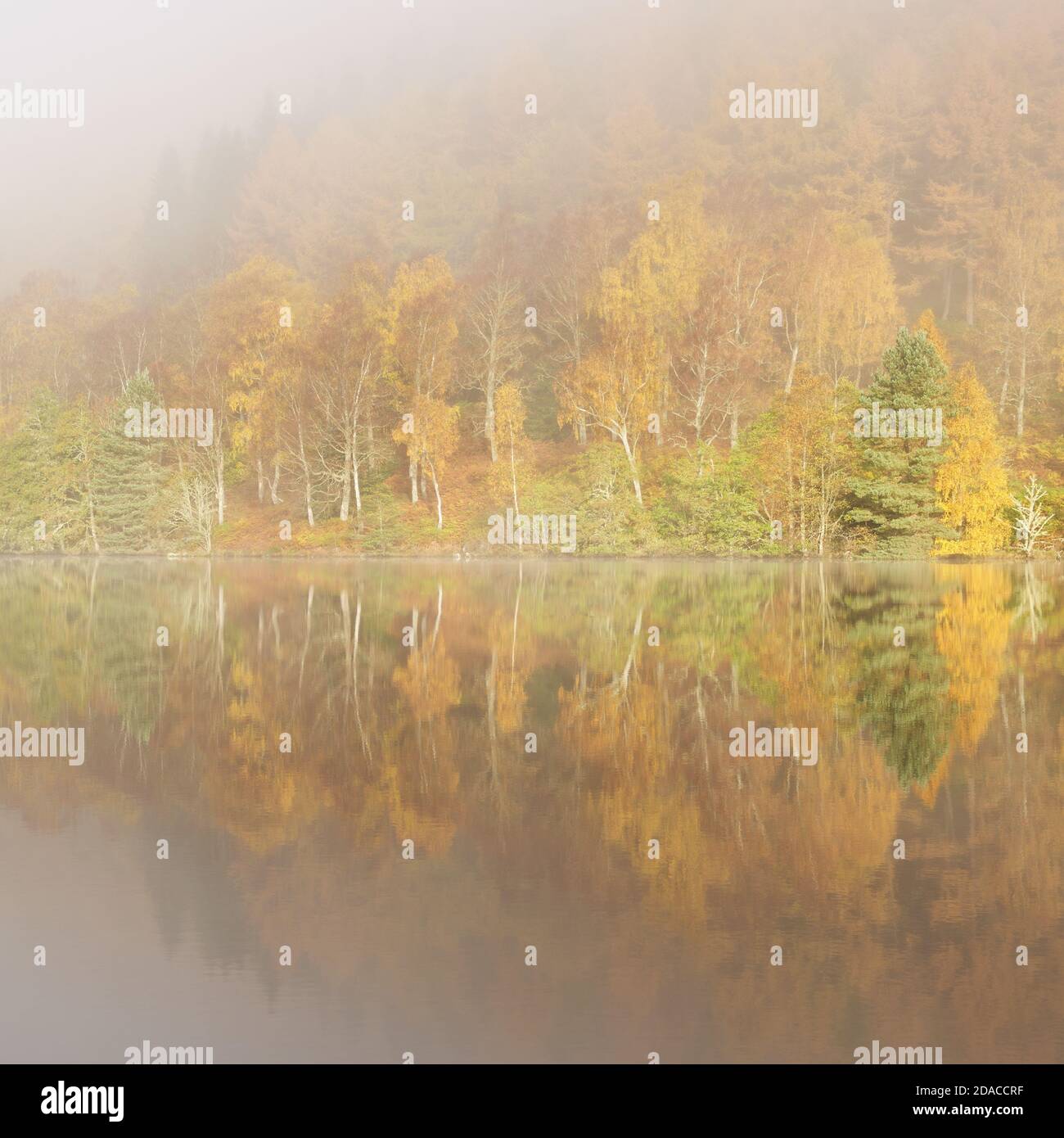 Loch autumn reflections hi-res stock photography and images - Alamy