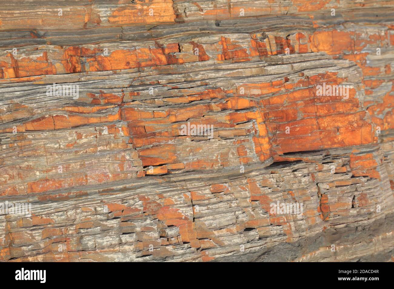 Close up of the orange coloured sedimentary rocks at Sandymouth ...