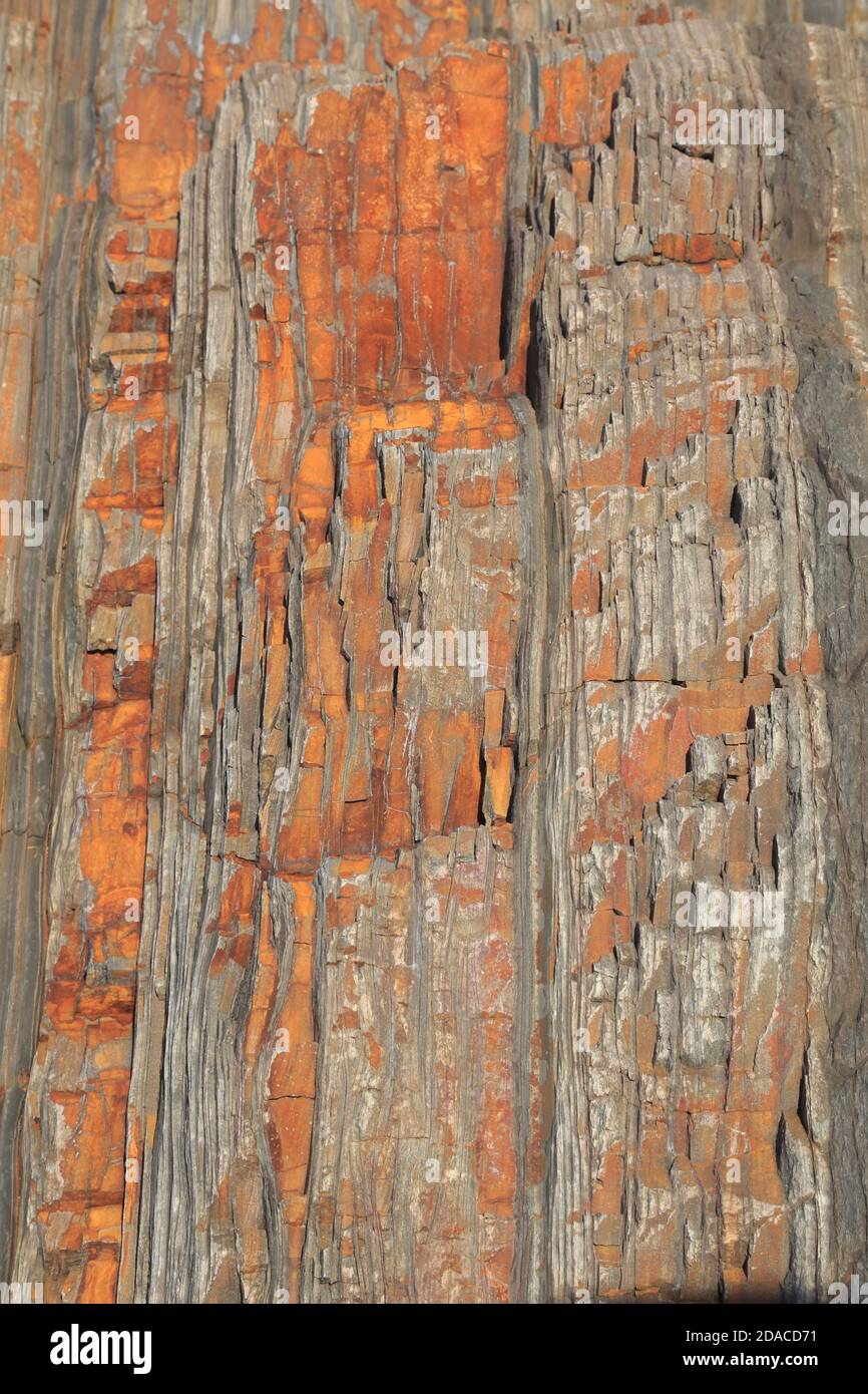 Close up of the orange coloured sedimentary rocks at Sandymouth ...