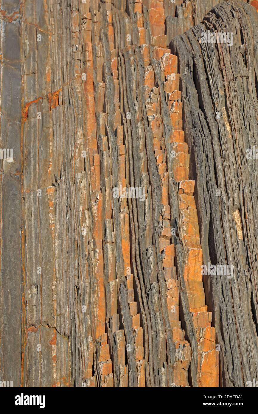 Close up of the orange coloured sedimentary rocks at Sandymouth ...