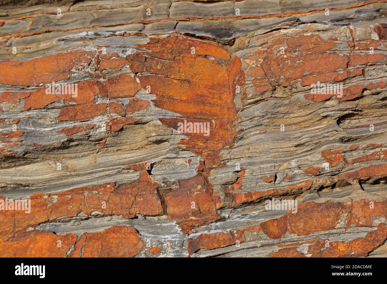 Close up of the orange coloured sedimentary rocks at Sandymouth ...