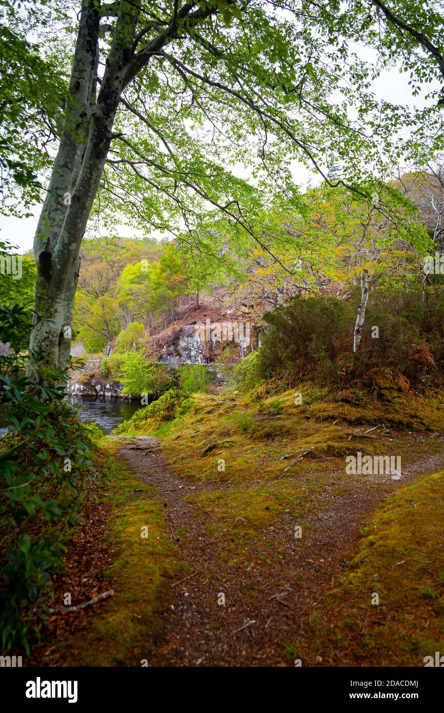 Camus dorche hi-res stock photography and images - Alamy