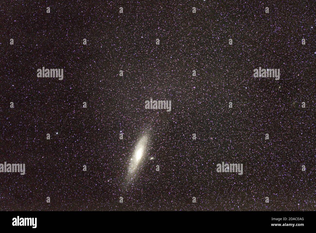 M31 Galaxy in a starry night Stock Photo - Alamy