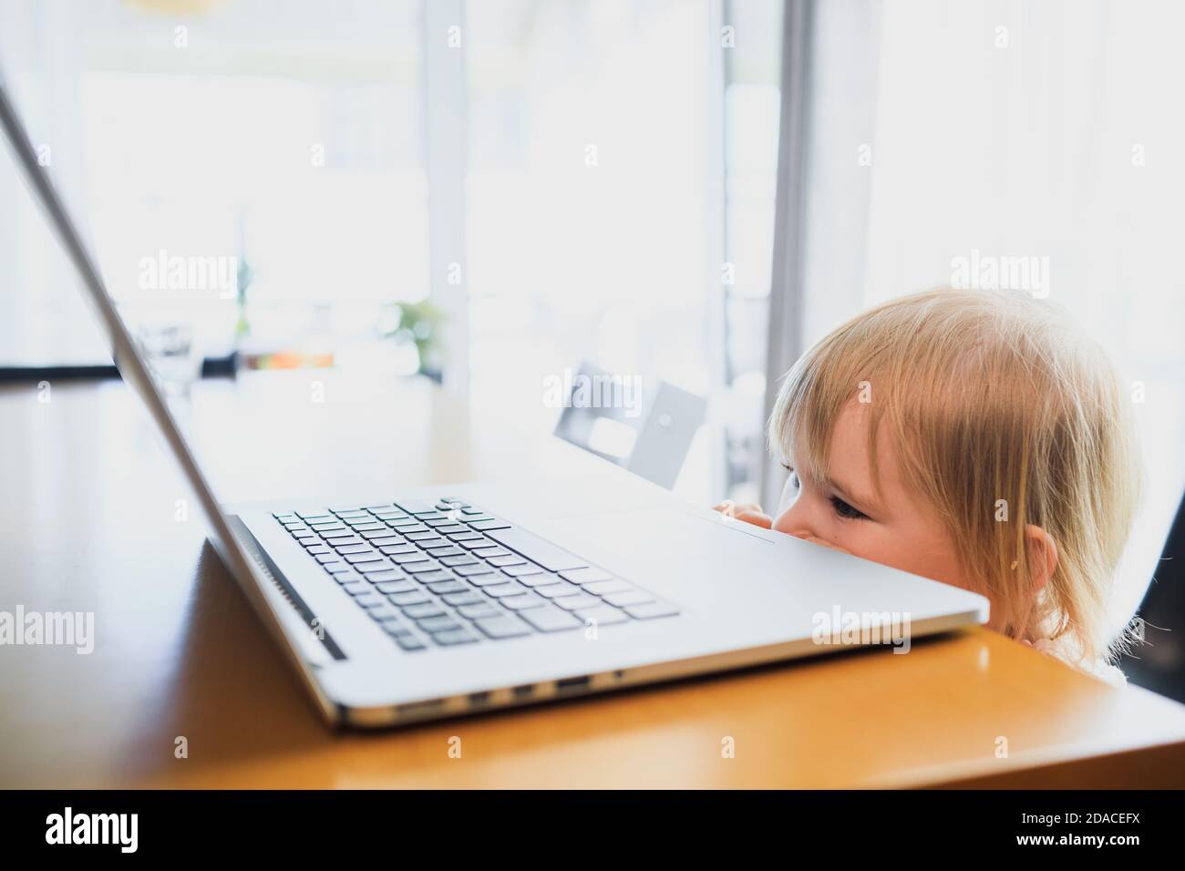 the little girl looks at the laptop screen and is confused Stock Photo ...