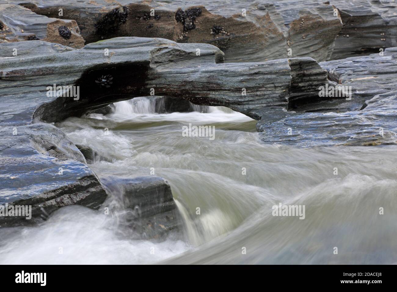 The natural stone bridge at Trebarwith Strand Cornwall Stock Photo - Alamy