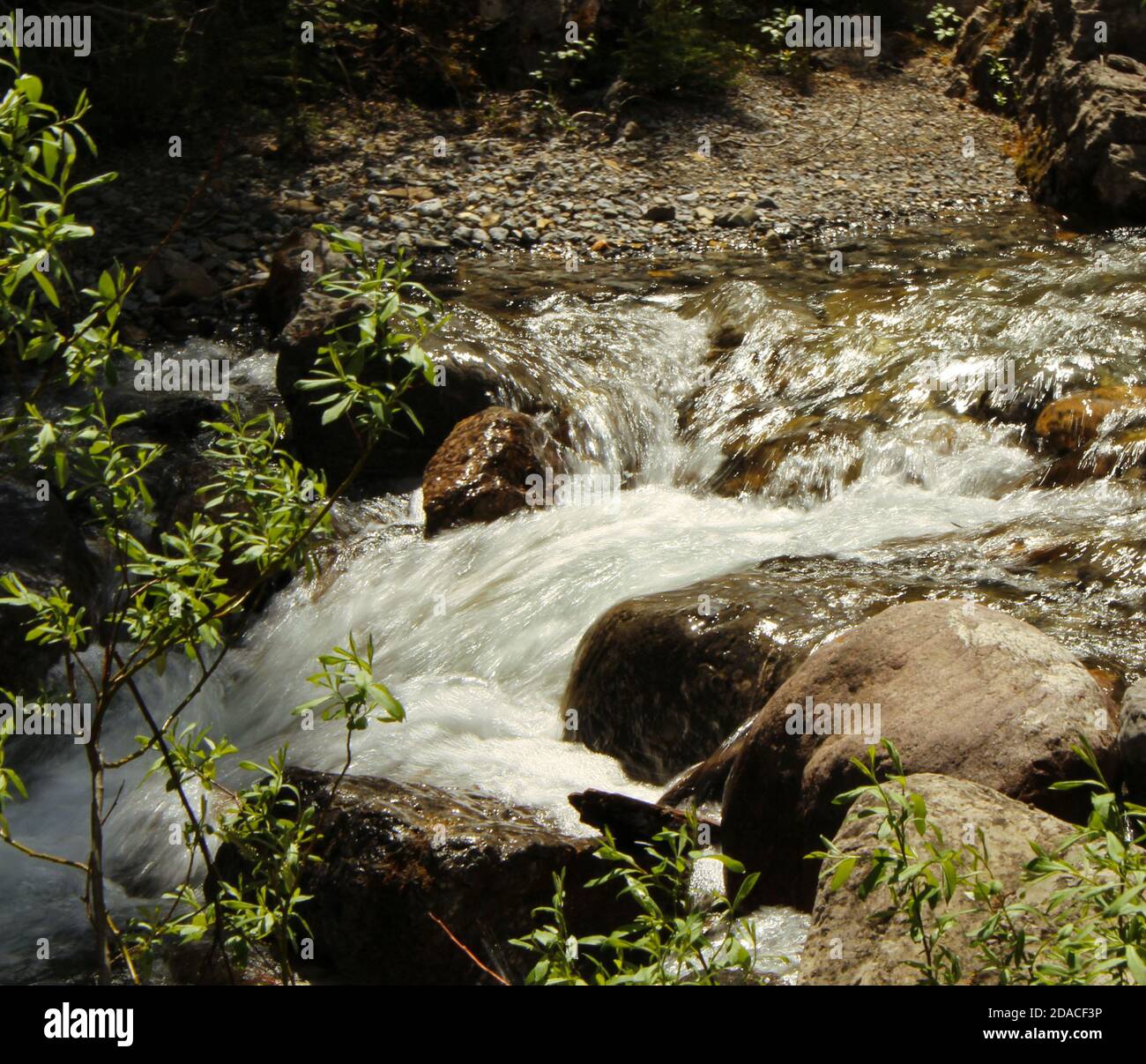 Stream flowing wherever it please Stock Photo - Alamy